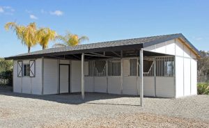 Shedrow Barns | Horse Housing, Equine Facilities | FCPBarns.com