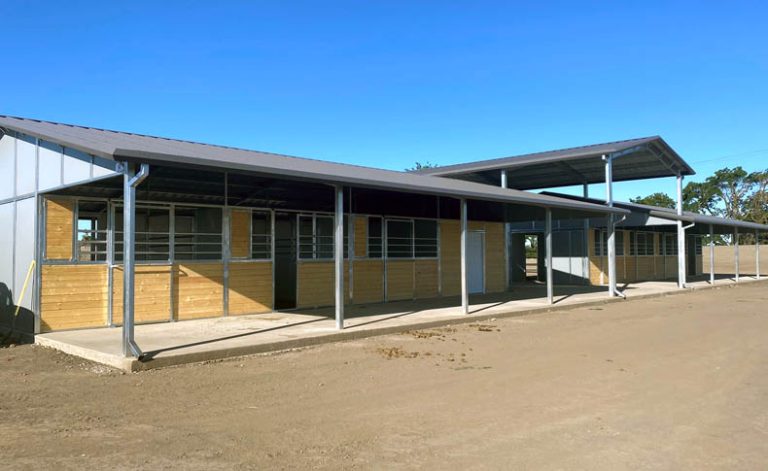 Shedrow Barns | Horse Housing, Equine Facilities | FCPBarns.com
