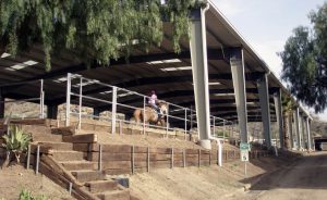 Custom Horse Arenas | Riding Arenas | FCPbarns.com
