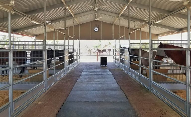 Mare Motels | AG Structures by FCP Barns | FCPbarns.com