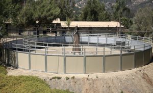 Round Pens, Training & Exercise | AG Structures | FCPbarns.com