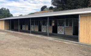 Shedrow Barns | Horse Housing, Equine Facilities | FCPBarns.com